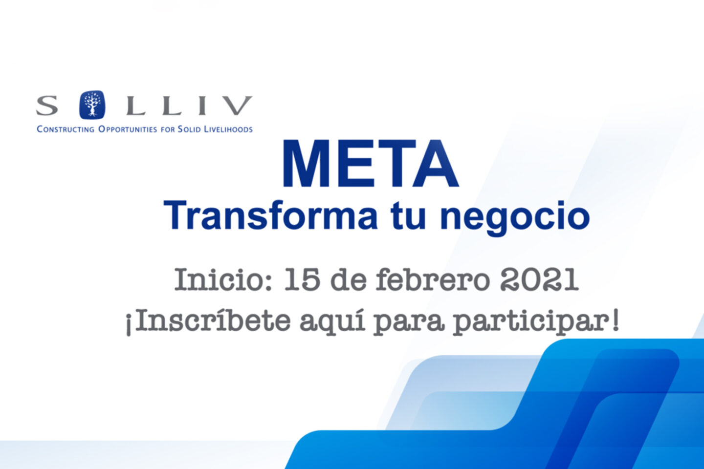Materiales Proyecto META – SOLLIV