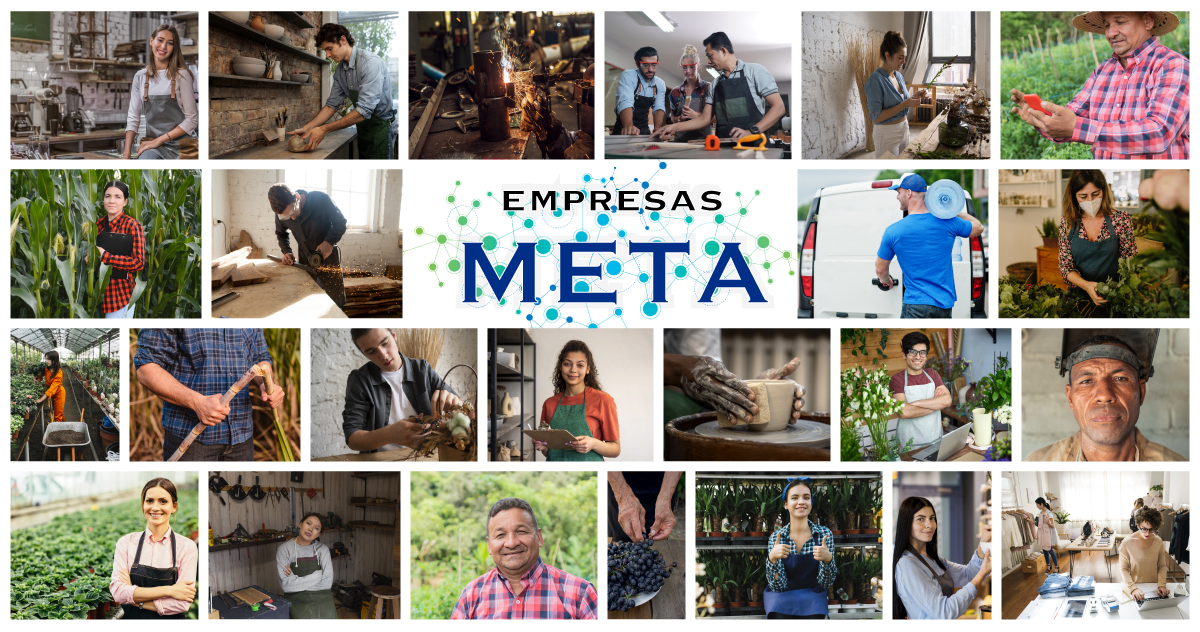Empresas del segmento META – SOLLIV