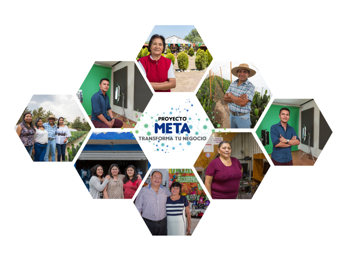 El Proyecto META Transforma tu Negocio, edición 2024-2025 – SOLLIV